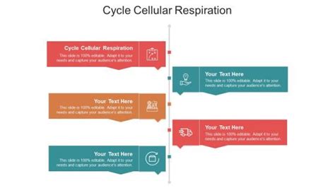 Cellular Respiration Powerpoint Presentation And Slides Ppt Presentation Slideteam