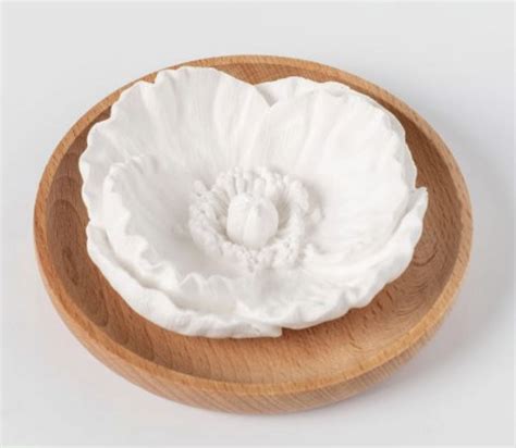 Passive Diffuser Dee Lightfully Soft Passive Diffuser Dee Lightfully Soft
