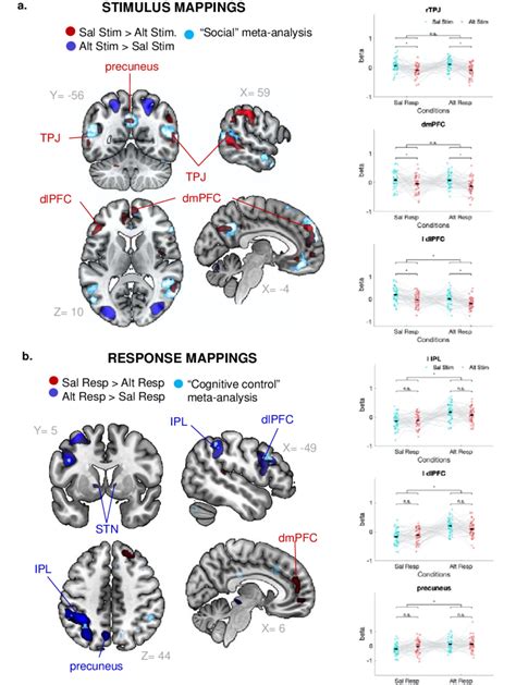 Sbn Areas Respond Selectively To Salient Input Configuration Mappings