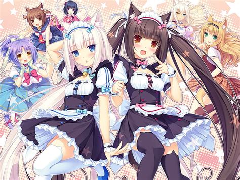 Nekopara Hd Wallpapers Free Download Wallpaperbetter