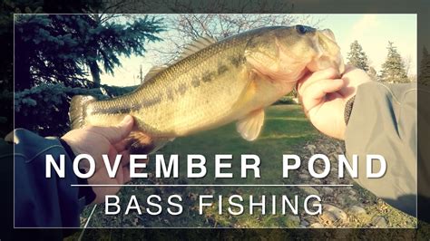 November Pond Bass Fishing Youtube