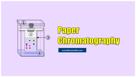 What Is Paper Chromatography Principle And Procedure