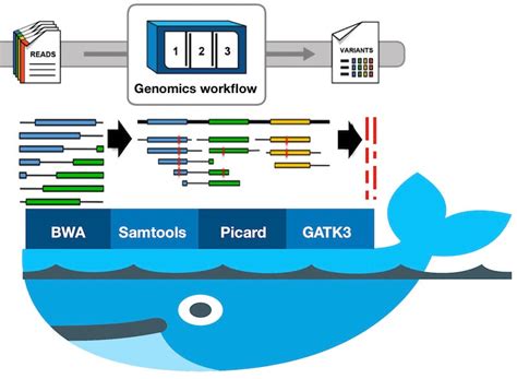 using docker in genomics workflows into the genomics medium