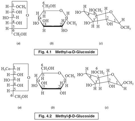 Introduction Glycosides
