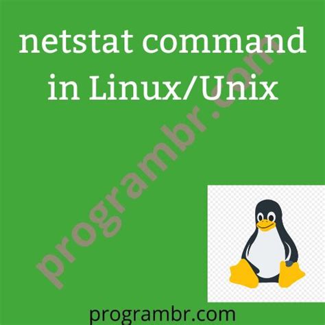 Netstat Command In Linuxunix Uses Of Netstat Command With Examples