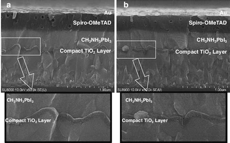 Perovskite Solar Cell Cross Section Sem Image My Xxx Hot Girl