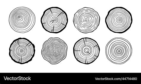 Tree Ring Wood Circle Set Hand Drawn Ring Vector Image