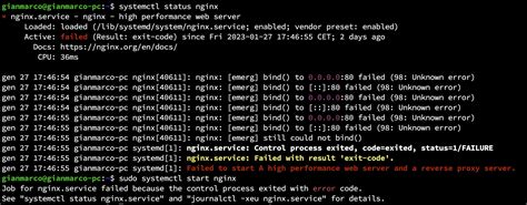 can t start nginx r nginx