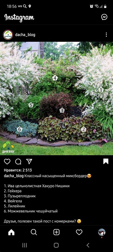 Пин от пользователя Ольга Картышева на доске сад Идеи озеленения Композиции цветников Дизайн