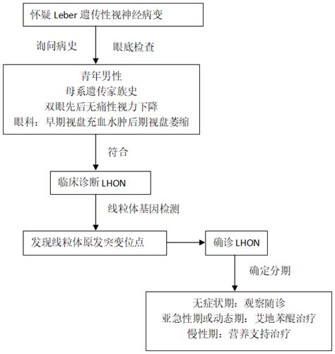 案例分享 基因辅助诊断眼科罕见病Leber遗传性视神经病变 知乎