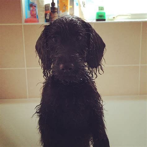 Untitled Ben Wicks Flickr