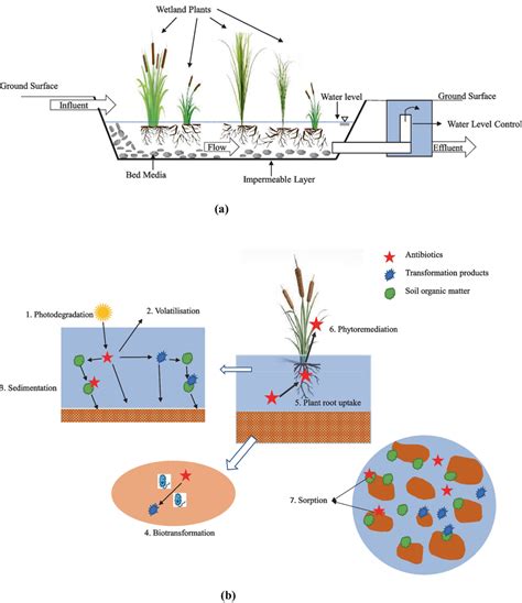 A A Schematic Layout Of Horizontal Subsurface Flow In The Constructed Download Scientific