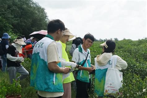 红树林实践团守卫蓝碳生态，专业赋能“国宝”红树林保护——广西大学林学院生态保护与绿色发展协会赴北海开展暑期社会实践活动 林学院