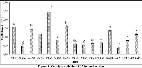 Figure 1 From Isolation And Identification Of Anaerobic Yeasts And Bacteria From Weasel Coffee