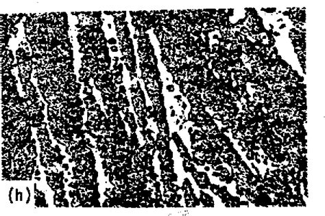 Figure 1 From Development Of Ferritic Steels For Reduced Activation The Us Program Semantic