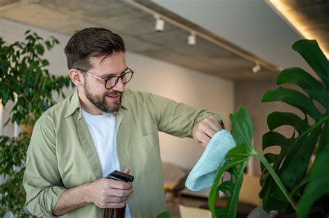 남자는 마이크로 화이버 천과 스프레이 병으로 몬스테라 식물의 잎을 청소합니다 가정 생활에 대한 스톡 사진 및 기타 이미지 가정 생활 남자 남자들만 Istock