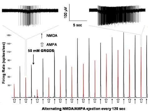 A Representative Peristimulus Time Histogram Showing The Effects Of