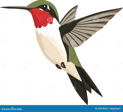 Simple Vector Ruby Throated Hummingbird Clipart Stock Vector Illustration Of Style Cartoon