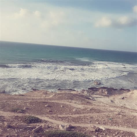 Mohamed Ezzine Elayech