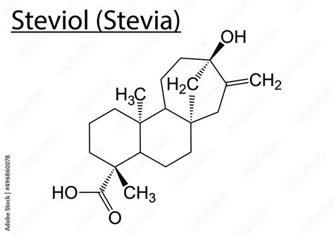 Vector Of The Chemical Molecule Structure Of Steviol Sweetener