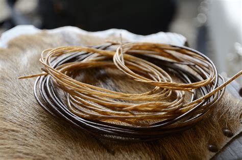 How To Choose Gut Strings — Maite Iglesias