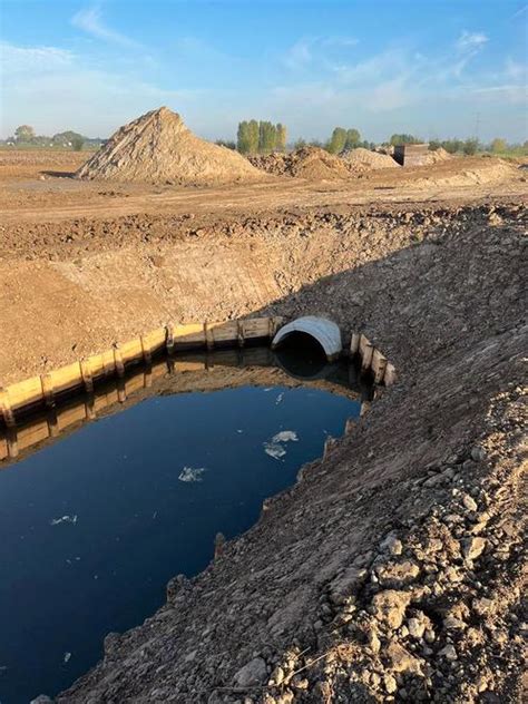 Robinia Beschoeiingsschotten Met Gronddoek Kanzo Handelsonderneming