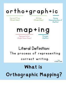 All About Orthographic Mapping FREE Worksheets Literacy Learn
