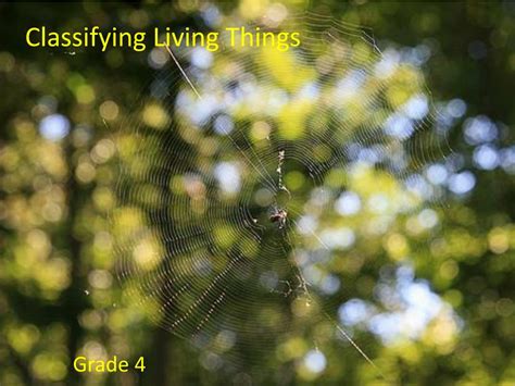 Ppt Classifying Living Things Powerpoint Presentation Free Download