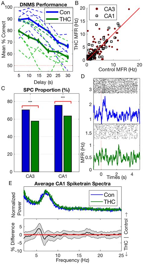 a behavioral performance on delayed nonmatch to sample dnms task in