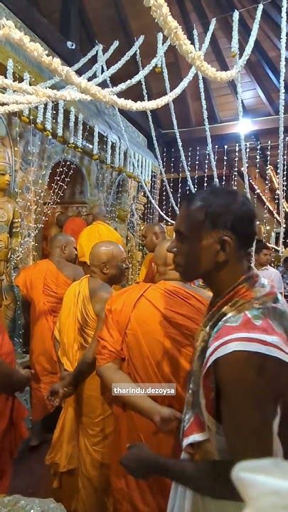 පෙරහර කරඬුව ගෙඩිගේ විහාරයේ තැන්පත්කිරීම Perahara Kandyperahera Srilanka Srilankan