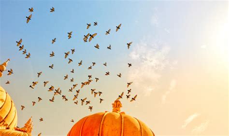 Exploring The Gestalt Principles Of Design Toptal