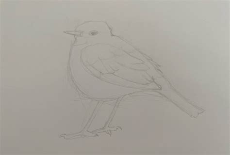 Class Project Skillshare Student Project