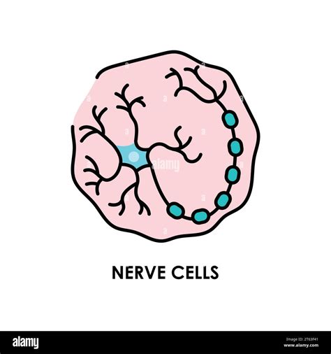 Brain Neuron Cell Color Line Icon Microorganisms Microbes Bacteria