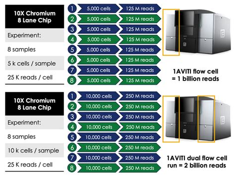 Single Cell Sequencing And The Aviti™ System A Perfect Pairing