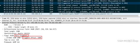 wireshark抓包分析ip协议 捕捉并分析ip数据包 csdn博客