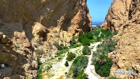 mohamed bakr posted on linkedin