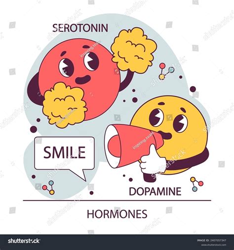 Endocrine System Hormones Function Serotonin Dopamine Stock Vector Royalty Free 2407057347