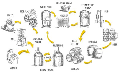 Brewing Process Diagram At Ilana Meachum Blog