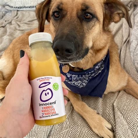 Mango Frutto Della Passione E Mela From Innocent Vegan Product