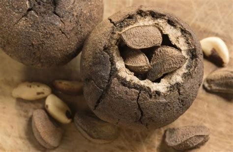 Brazil Nuts Nutrition Benefits And Side Effects High Rated Gabru