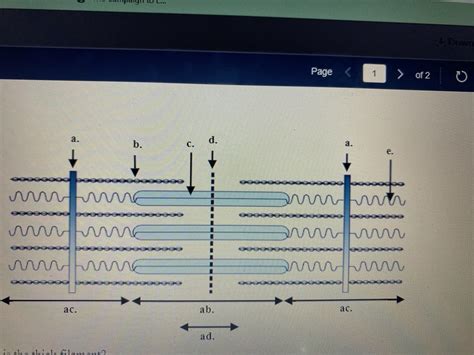 Picture For Test Diagram Quizlet