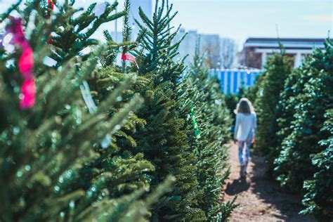 Allison Barta Bailey