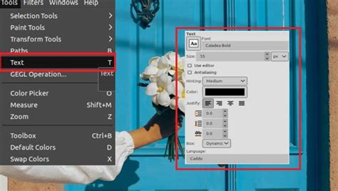 如何使用 Gimp 水印去除器（完整指南）