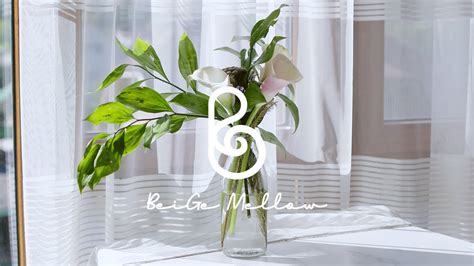 아침을 깨우는 상쾌한 피아노 연주곡🌼 Youtube