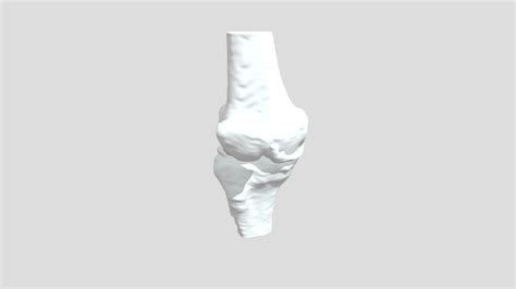Segmentation Us Ch Rt Bone 3d Model By Curisdatascience 429b899