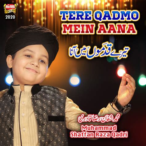 Muhammad Shaffan Raza Qadri Spotify