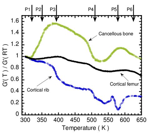 B Elastic Modulus As A Function Of Temperature For Cortical And