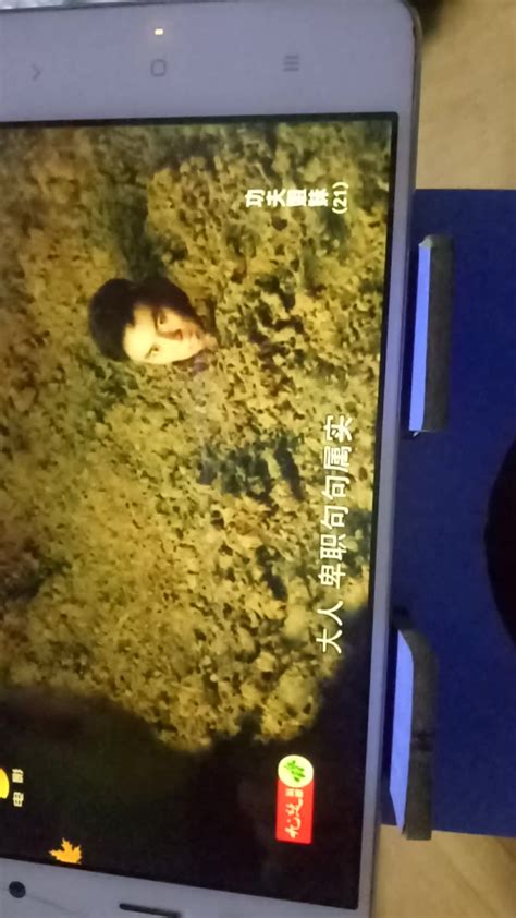 功夫姐妹电视剧爱奇艺 姐妹功夫电视剧全集 随意云