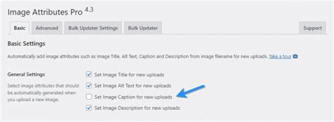 Use Image Caption As Alt Text Automatically Image Attributes Pro