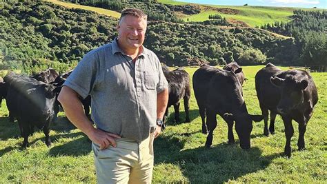 Bremworth Board Coup Succeeds Nbr The Authority Since 1970 Todd Scott